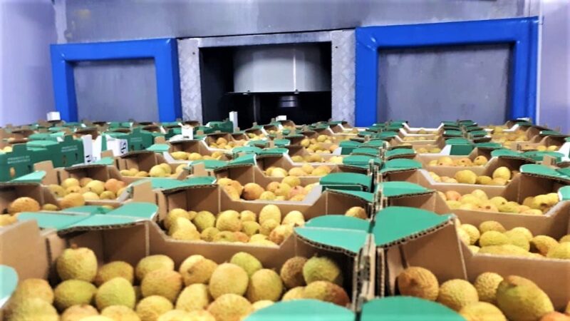 On farm pre-cooling as a game changer for Claremont farm – InspiraFarms