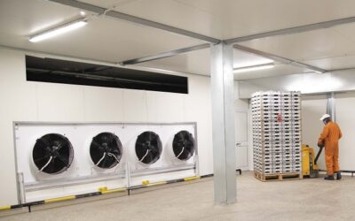 Key Take Outs: Establishing the ROI of Pre-cooling & Cold chain ...