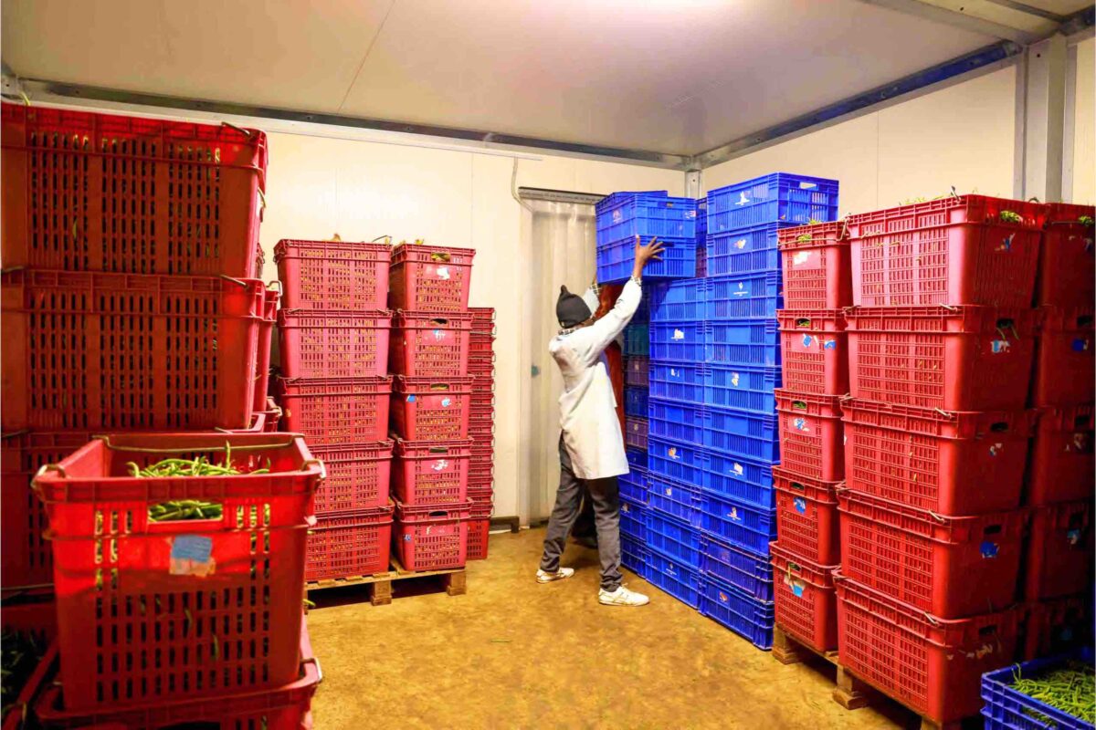 Small Cold Rooms – InspiraFarms