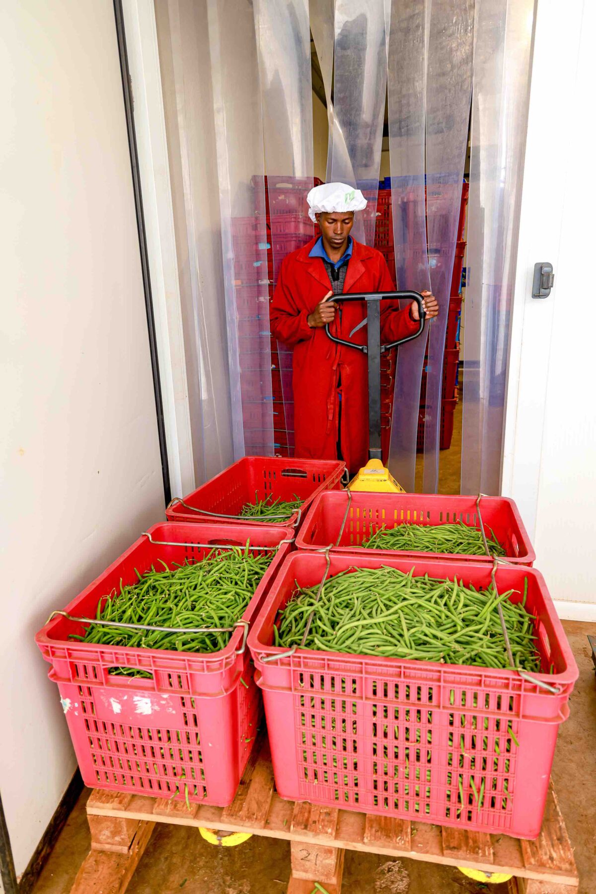 Small Cold Rooms – InspiraFarms
