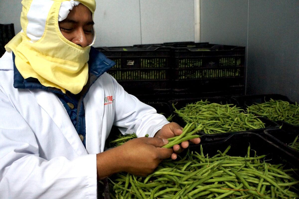 Vegetables – InspiraFarms