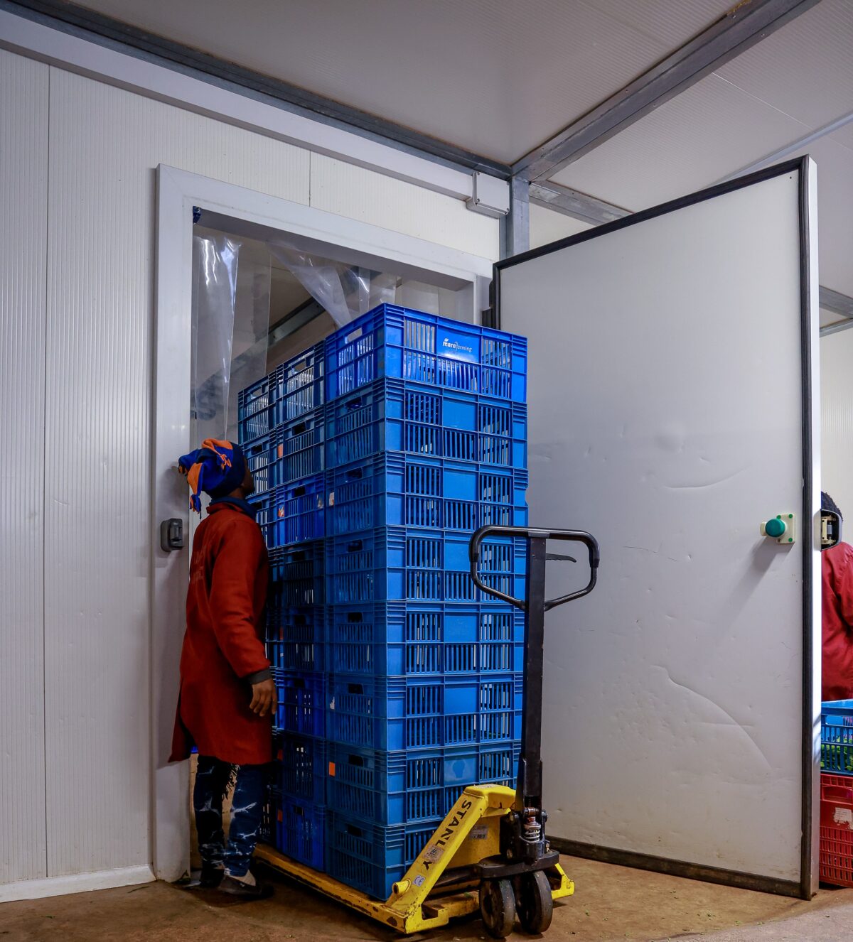5 tips to optimise the performance of your cold room – InspiraFarms