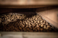 Efficient Potato Cold Storage: Solutions for Long-Term Preservation ...