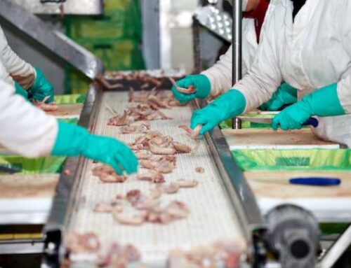 Opportunities and Challenges of Cold Chain in Kenya