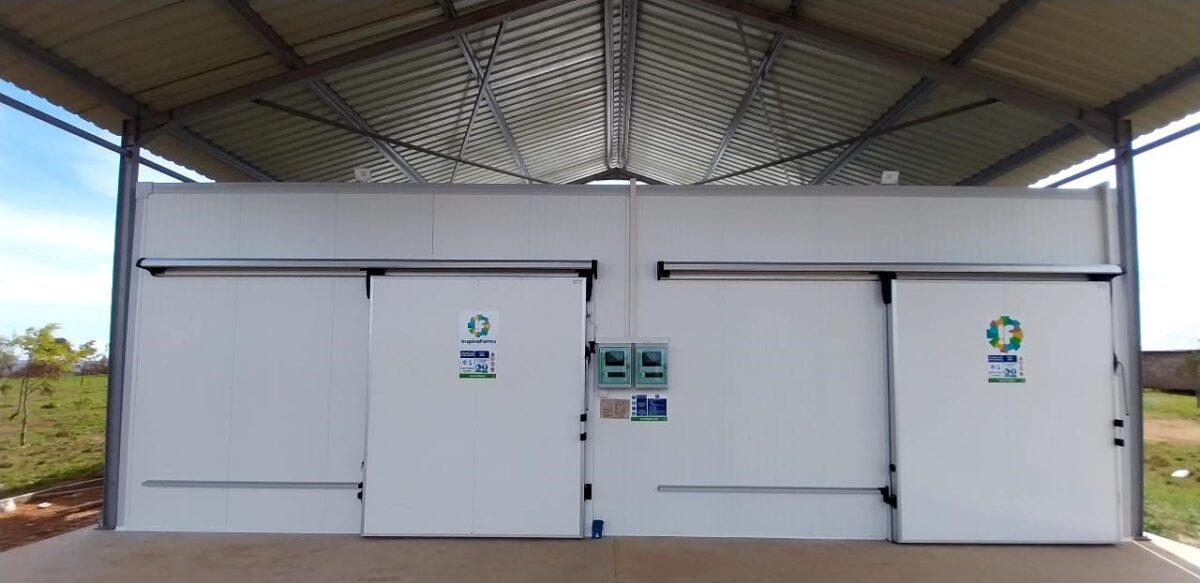 Key Factors to Consider When Selecting a Cold Room for your ...